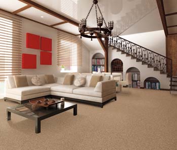 Carpet Flooring in Franklin Square NY | Flooring America